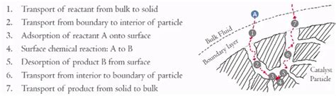 Reaction Rate With External Mass Transfer