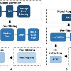 Images And Signals From The HR Estimation Process Using Image Sensors Download Scientific