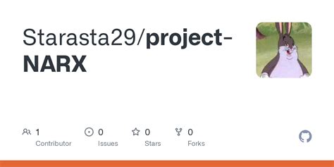 GitHub Starasta Project NARX