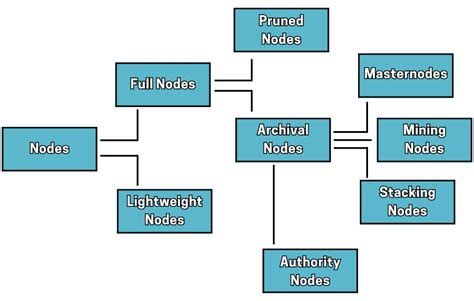Quest Ce Quun Nœud Blockchain Le Phare Crypto