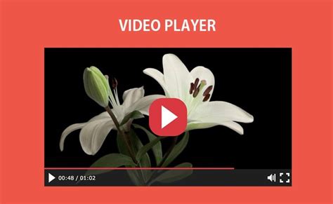 Html5 Video Player With Play Forward Rewind And Pause Buttons