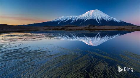 Erfahrungen Und Bewertungen Zu Bing