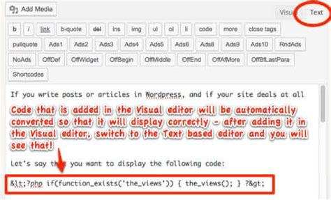 How To Publish Display Code Wordpress The Internet Patrol