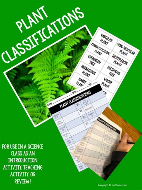 Plant Classification Activities Plant Classification Plant Science