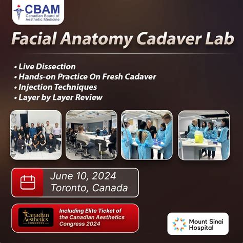 Canadian Board Of Aesthetic Medicine On Linkedin Cbam Facial Anatomy