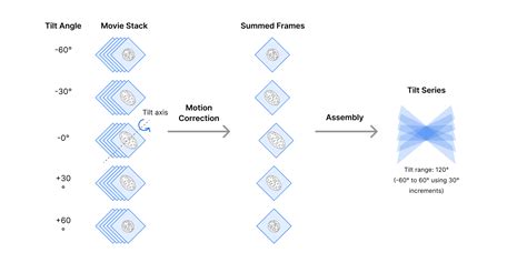 Cryoet Workflow Cryoet Data Portal Documentation