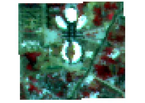 第 11 章 Discriminant Analysis 应用统计学与r语言实现学习笔记