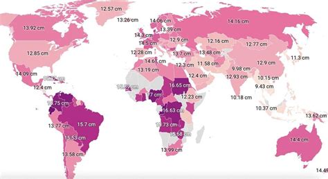 Опубликован новый мировой рейтинг среднего размера пениса