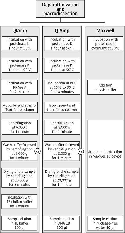 Dna Extraction From Ffpe Tissue Samples A Comparison Of Three Procedures