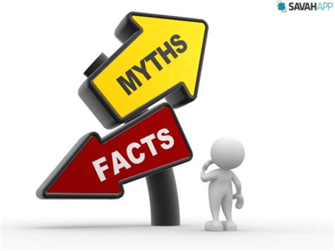 6 Common Ux Design Myths You Shouldnt Believe Techpatio