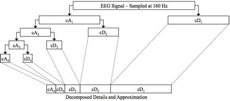 Multi Resolution Decomposition Of The Eeg Signal Download Scientific Diagram