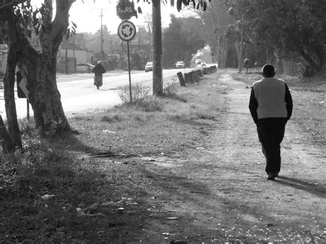 Nikon Coolpix L315 Sample Photo Ok8e03cpzm Explorecams