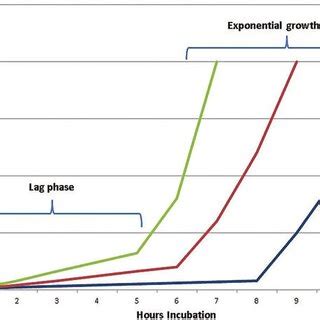 16 Traditional Microbial Laboratory Analysis Including The Typical Download Scientific Diagram