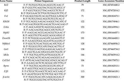 Primer Information Of Rt Qpcr Download Scientific Diagram