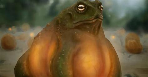 Pumpkin Toad Album On Imgur