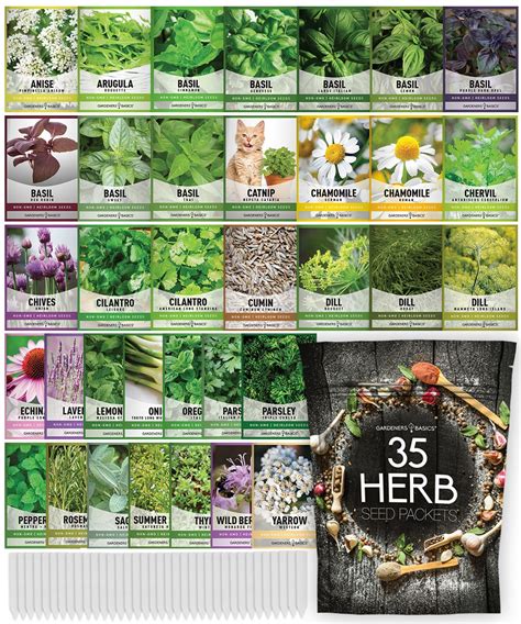 Plant Seed Types