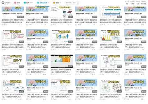 学习 Python 数据结构与算法，这是我见过最友好的教程 哔哩哔哩