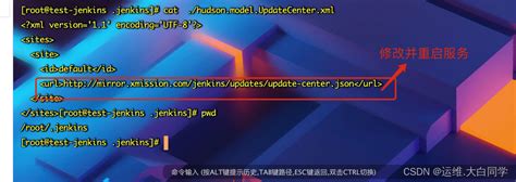 war包管理启动jenkins安装插件失败解决办法 jenkins2 355 安装不了git、 csdn博客