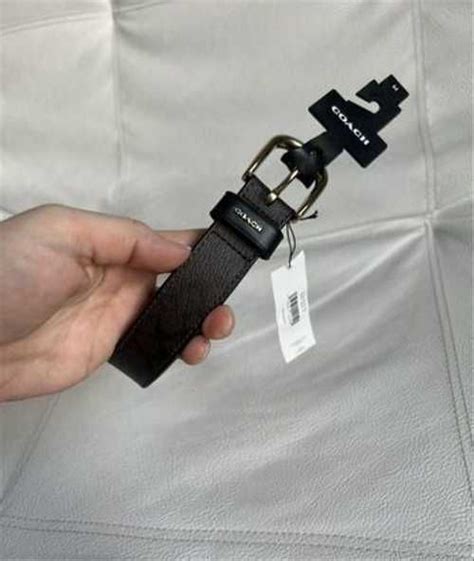 Ремень женский Coach signature canvas (m) | Festima.Ru - Мониторинг ...