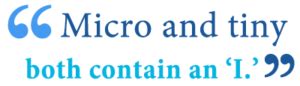 Macro Vs Micro Whats The Difference Writing Explained
