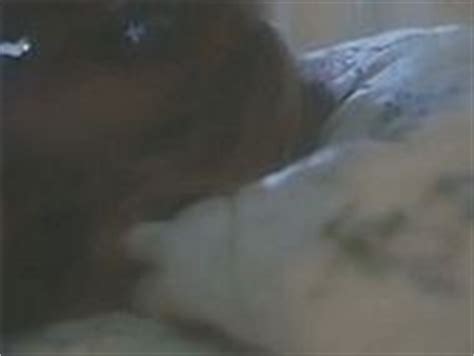 Naked Jenilee Harrison In Prime Target