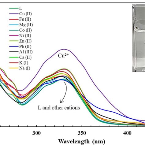 Absorbance Vs Wavelength Nm Of Ligand L 10 Mm With Equivalent