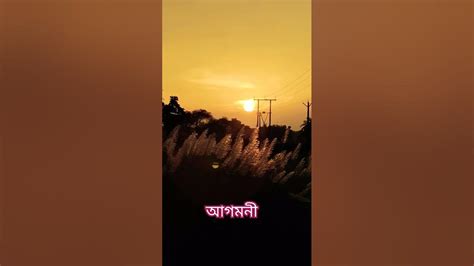 আগমনী জয় মা দূর্গা কাশফুল Youtube