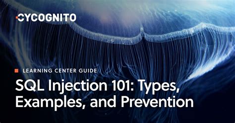 sql injection 101 types examples and prevention cycognito