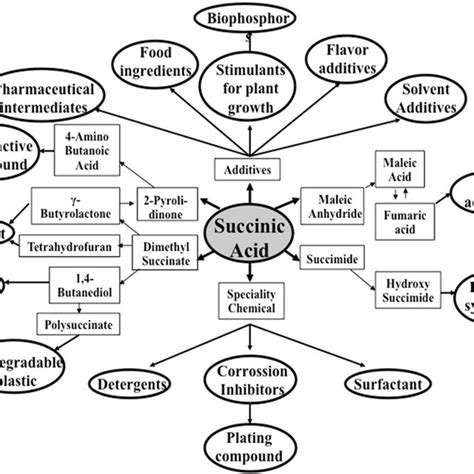Applications Of Succinic Acid Source Laufuhr Images