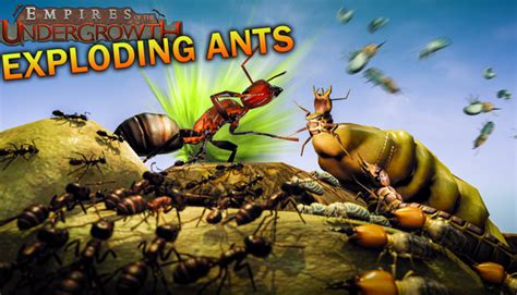 Buy Empires Of The Undergrowth Exploding Ants Pc And Mac Steam