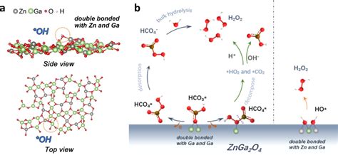 Proposed Reaction Pathways Of Water Oxidation To H2O2 A Side View And Download Scientific