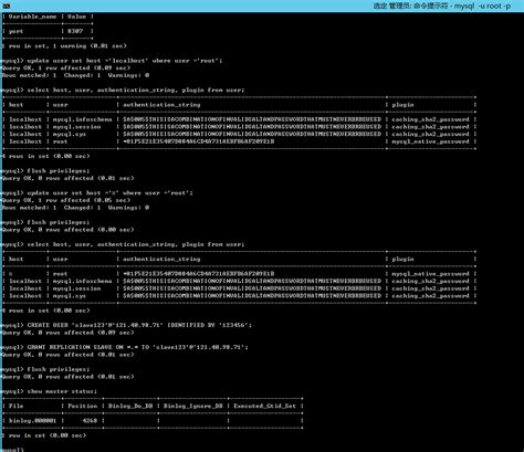 mysql Windows服务器 安装配置 主从复制 设置只读用户 竹林听雨行 博客园