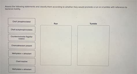 Solved Assess the following statements and classify them | Chegg.com