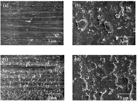 Sem Micrographs Of Tested Track Surfaces Under Various Relative