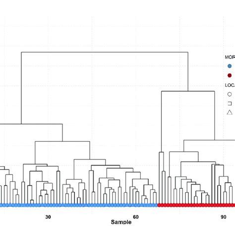 Dendrogram From The Clustering Analysis Showing The Two Principal Download Scientific Diagram