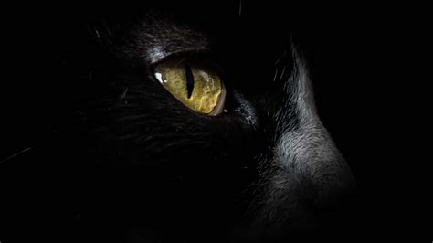 100 Fondos De Fotos De Fondos Hd Amoled