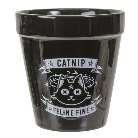 Catnip Garden Planter C 24 Summit Collection Ts