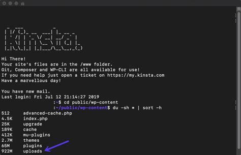 8 Easy Ways To Check Disk Usage In Wordpress Find Large Files And Data