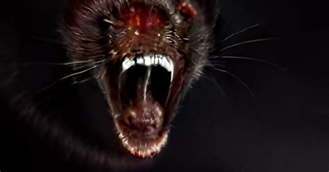 Black Demon Weasel From Sleep Paralysis Experience In Dec 2022 Created By Ai Image Through Text