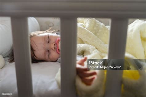 작은 유아 아기 소녀는 집에서 요람 침대에 누워 자고 어린 시절 부모와 성장 개념 아기 침대에 대한 스톡 사진 및 기타 이미지 아기 침대 유아 2 5 개월 Istock