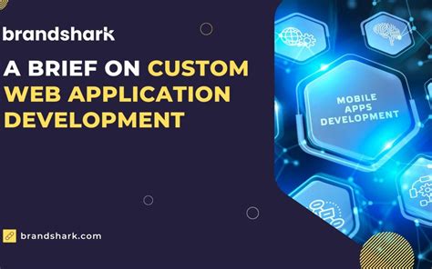 A Brief On Custom Web Application Development