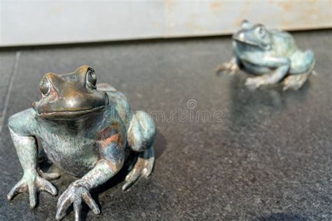 Copper Statue Of Adult Frog With Younger Frog In The Background Depicting Stages Of Life Stock