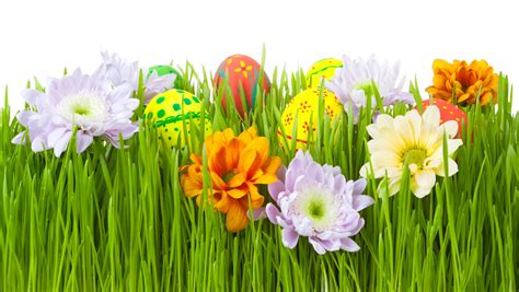 31 Easter Background Wallpapers Images Pictures Design Trends