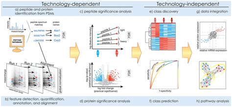 Computation And Statistics Analysis Of The Acquired Spectra Includes