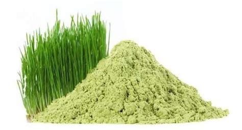 Conventional Wheatgrass Powder Vitanics Bio