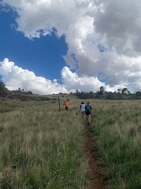 Breaking Barriers How Nature Scripts Is Rewriting The Story Of Mental Health Shepparton News