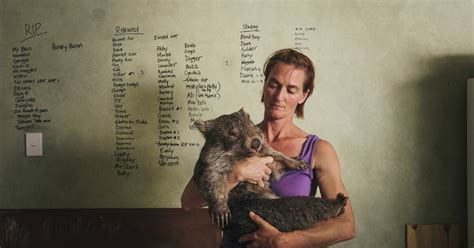 Wombat Threats From Guns And Disease Grow The Canberra Times