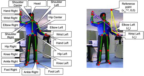 A Extracted Human Skeleton 3d Joints Using The Kinect Software Download Scientific Diagram