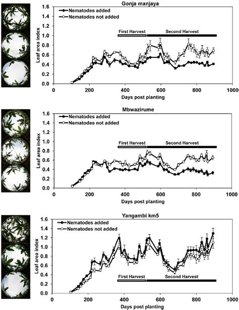 Leaf Area Index Lai Measured By Hemispherical Digital Photography Download Scientific