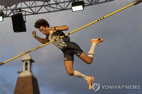 스포츠박사 기자의 스포츠용어 산책 784 왜 장대높이뛰기 선수들을 ‘인간새로 부를까